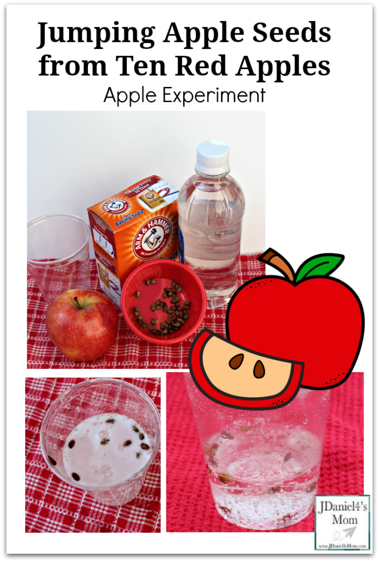 Apple Experiment- Jumping Apple Seeds from Ten Red Apples