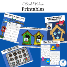 A Week of Bird Printables - JDaniel4s Mom