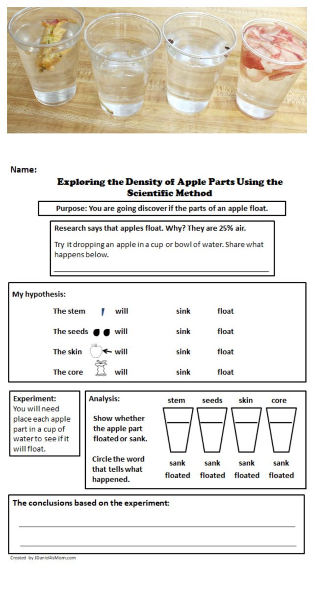 Exploring the Density of Apple Parts Using the Scientific Method ...