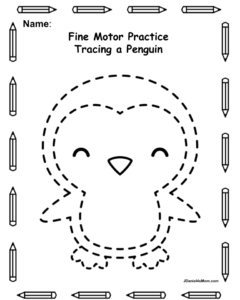 Fine Motor Practice- Animal Tracing Pages - JDaniel4s Mom