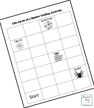 Life Cycle of a Spider Coding Printable