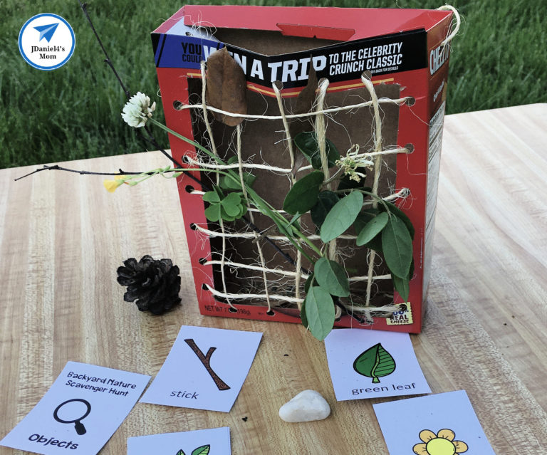 Making an Outdoor Nature Scavenger Hunt Collecting Box - JDaniel4s Mom