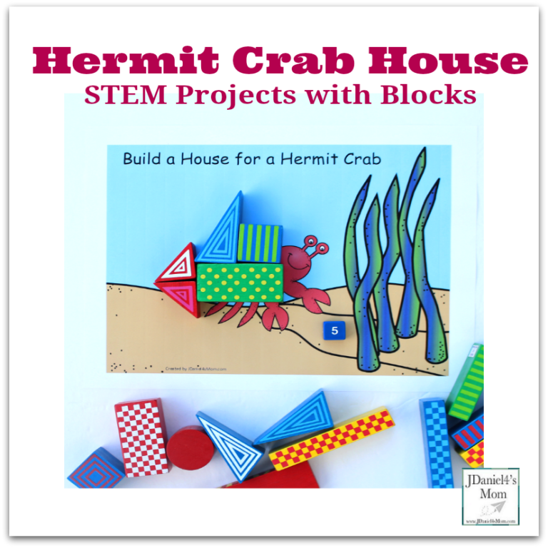 STEM Projects with Blocks- Hermit Crab House