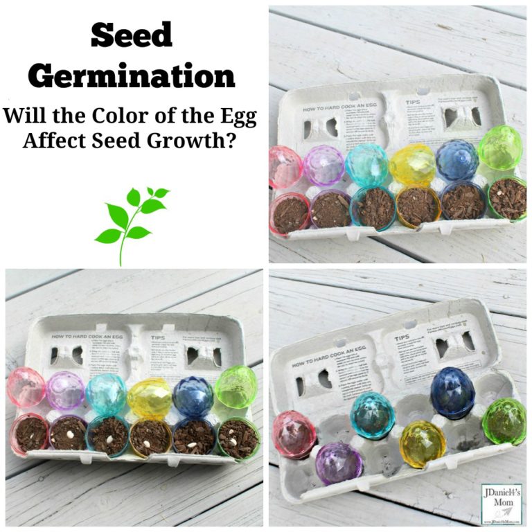 Seed Germination - Will the Color of the Egg Affect Seed Growth