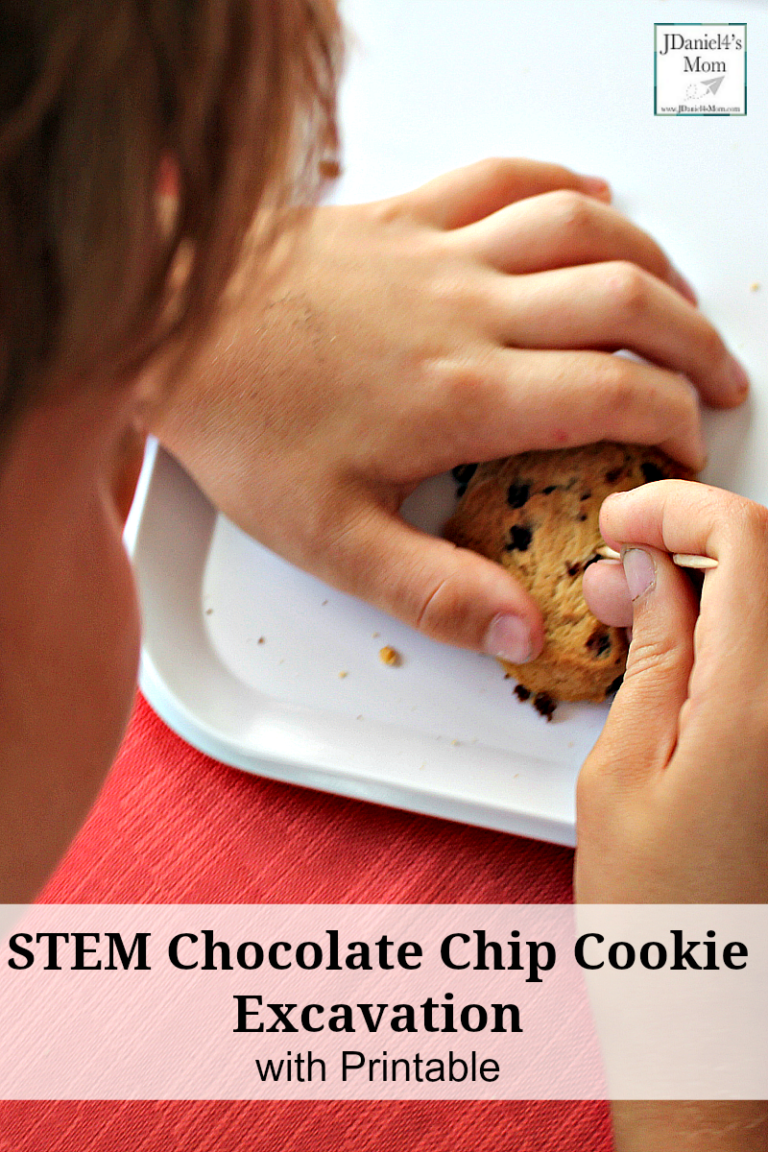 STEM Chocolate Chip Cookie Excavation with Printable